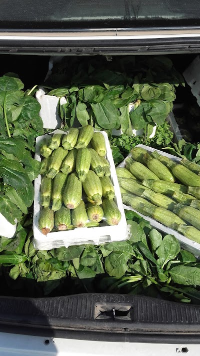 Taima' at Taima', Al Jahra, Al Jahrah - Kuwait