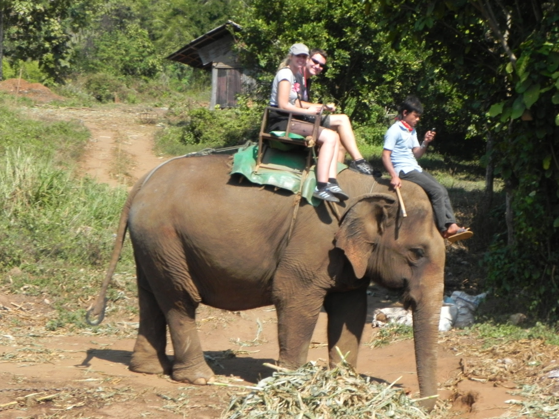 Wereldreis Steef en Erik: Chiang Mai – Orchideeën en olifanten