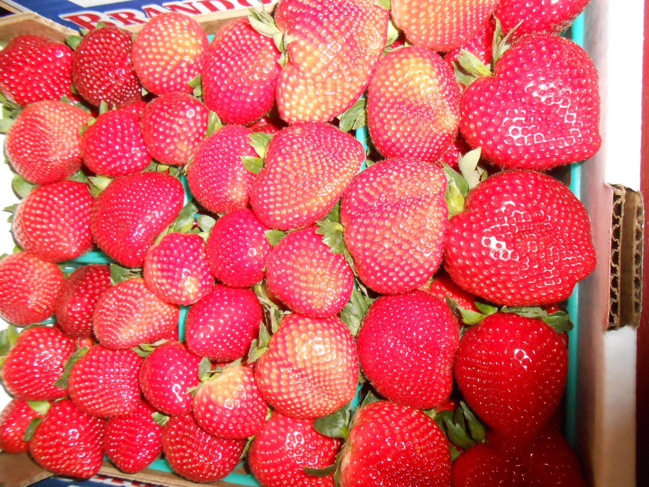 Dumnezeu a creat cel mai gustos si mai frumos fruct -capsuna