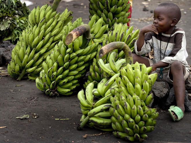 Agriculture : Sustainable Agriculture Definition Agriculture : Sustainable Agriculture Definition