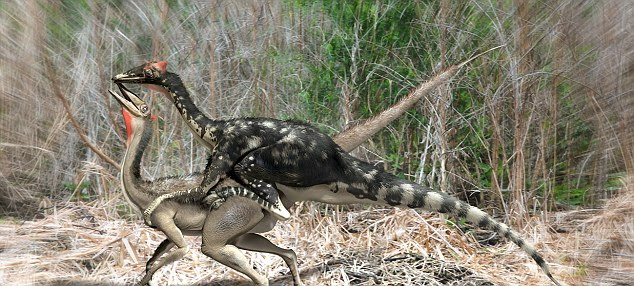 Novos Insólitos Notícias Incríveis Que Nos Fazem Refletir Posições Sexuais Dos Dinossauros