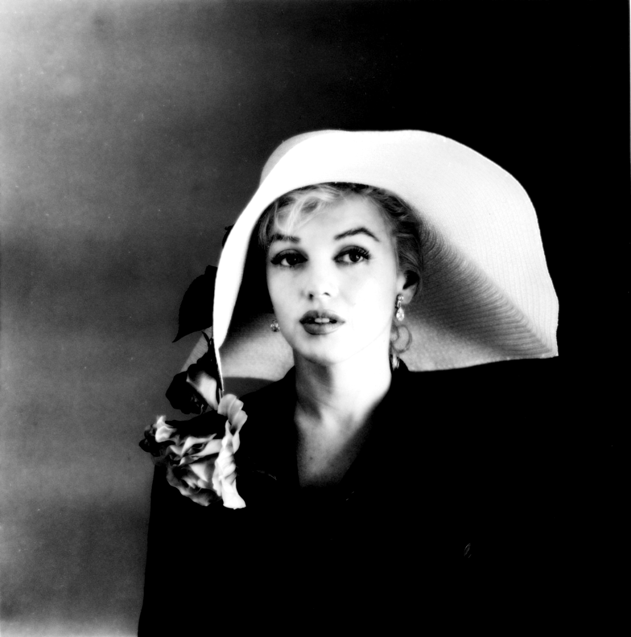 Sophia Loren Marilyn Monroe | pics from tumblr Sophia Loren Marilyn Monroe | pics from tumblr