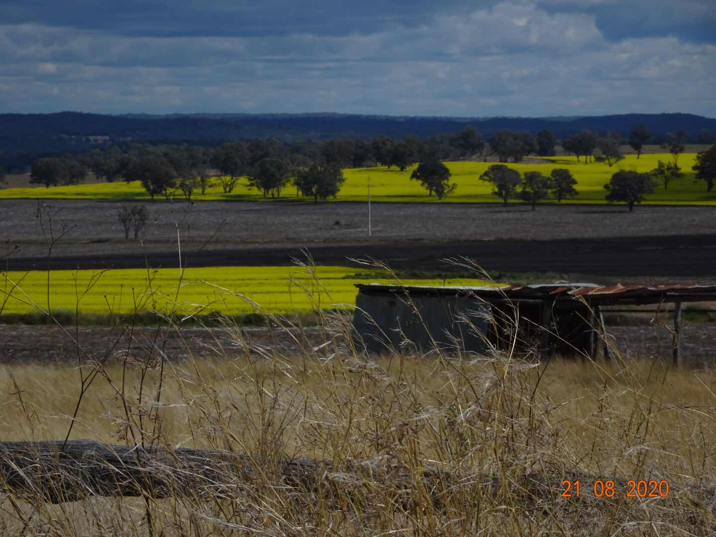 Lismore to Lightning Ridge
